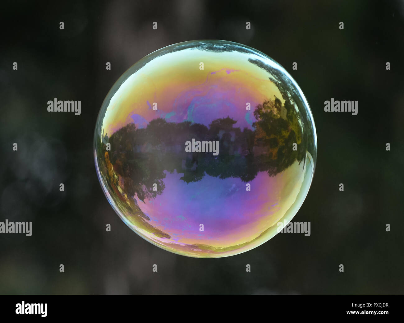 Soap bubble close-up Stock Photo - Alamy