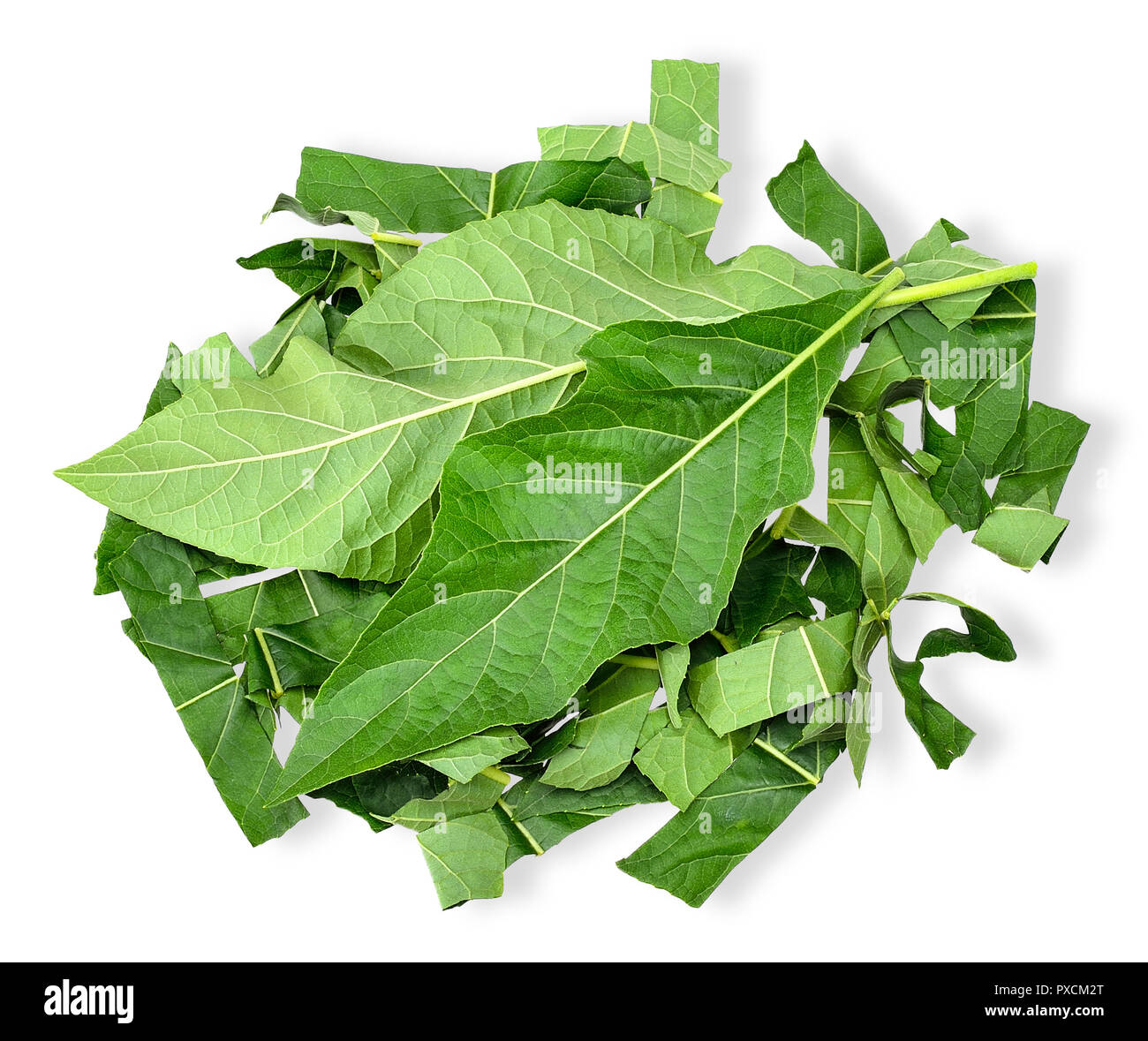Nan chao hi-res stock photography and images - Alamy