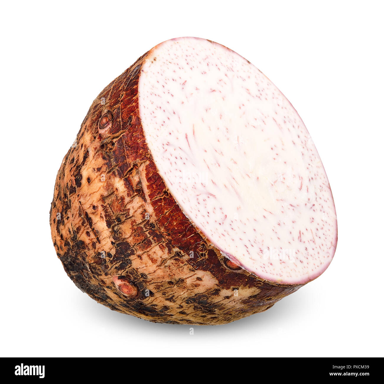 Asian taro Cut Out Stock Images & Pictures - Alamy