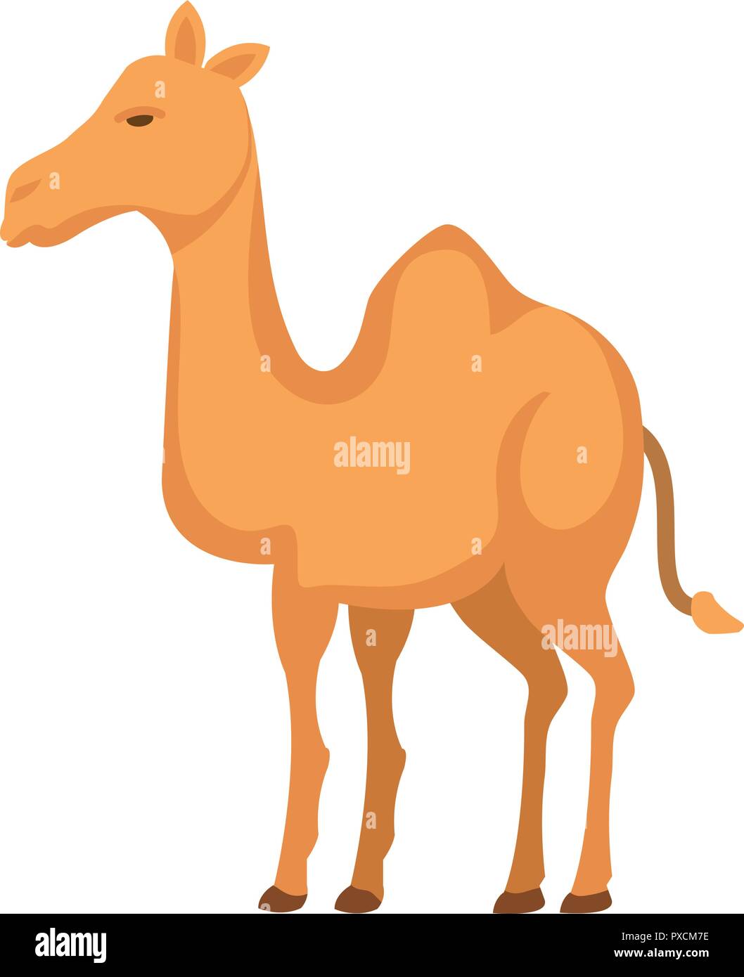 cute camel desert animal Stock Vector Image & Art - Alamy