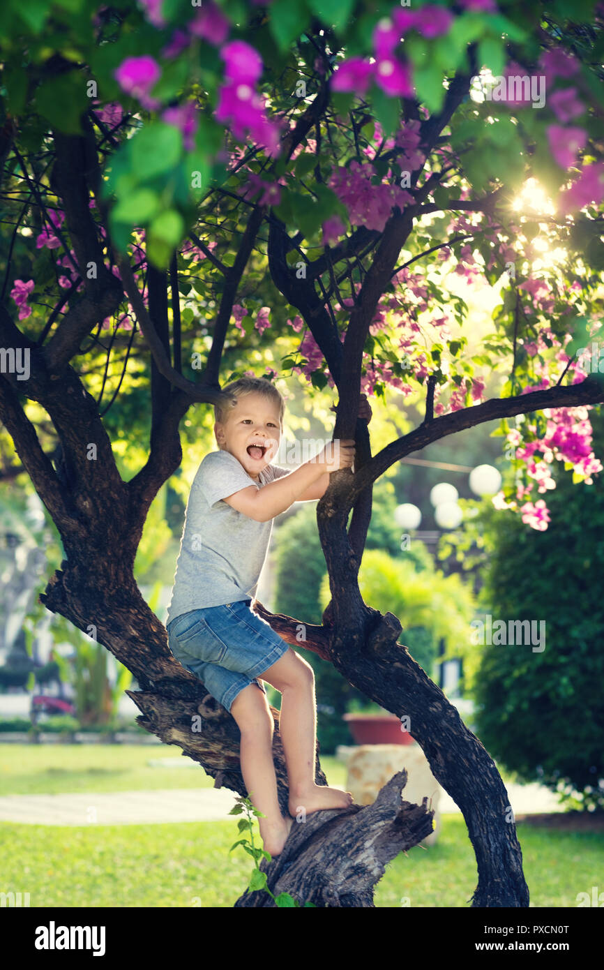 Outdoor portrait of funny boy on the tree Stock Photo - Alamy