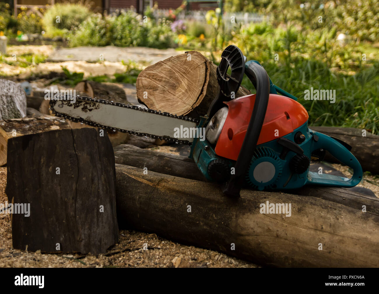 Lumberman using chainsaw sawing dry wood lying on ground Stock Photo ...
