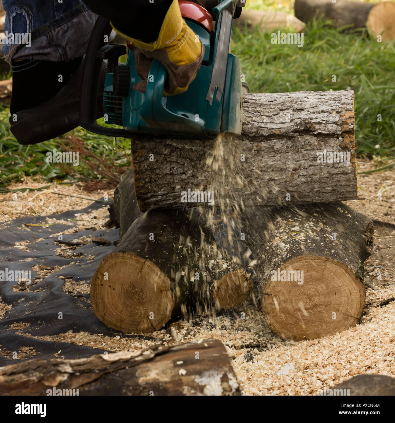 Log sawing hi-res stock photography and images - Alamy