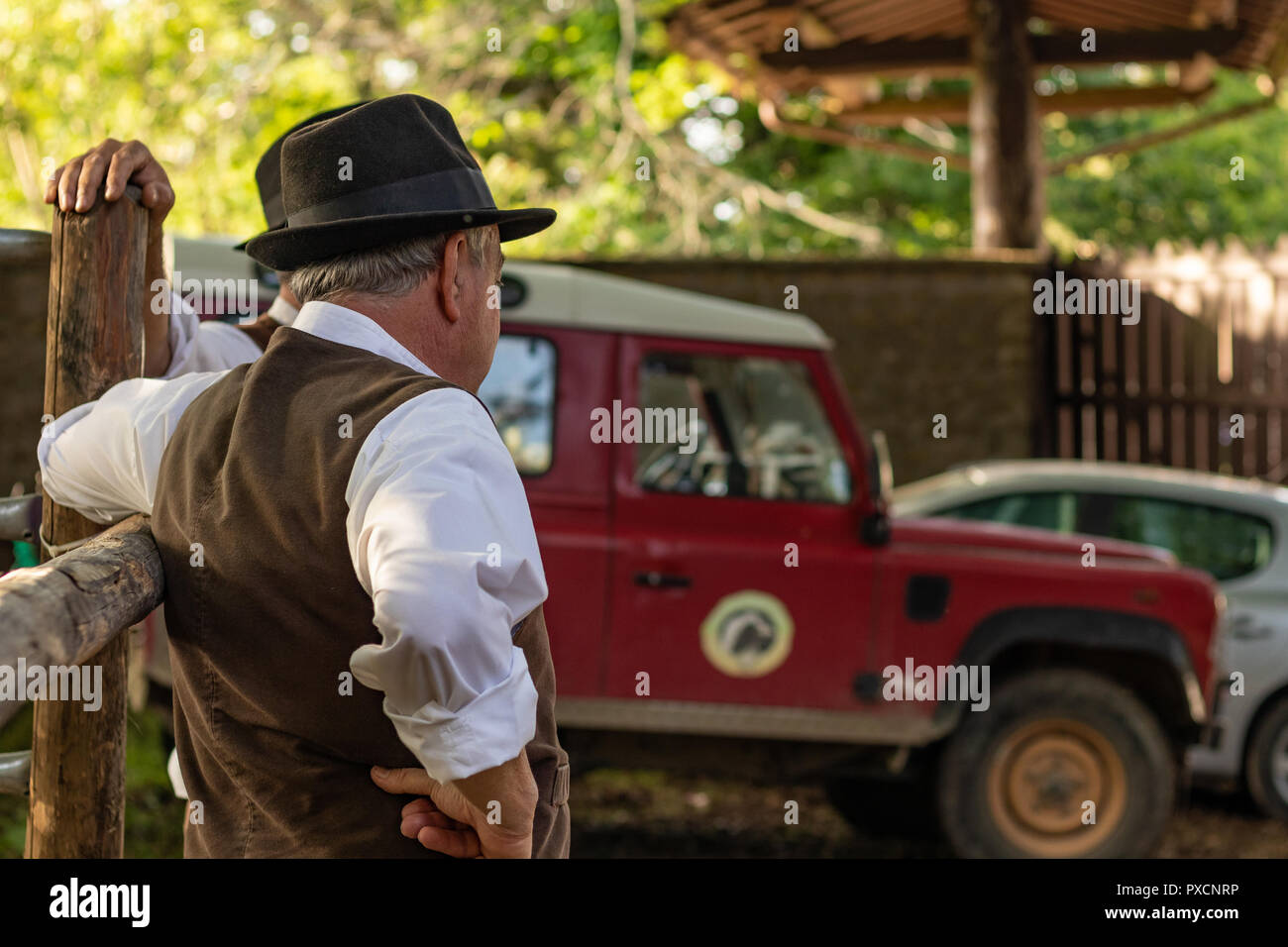 Horse markete scene, national selling period for high end animals in ...