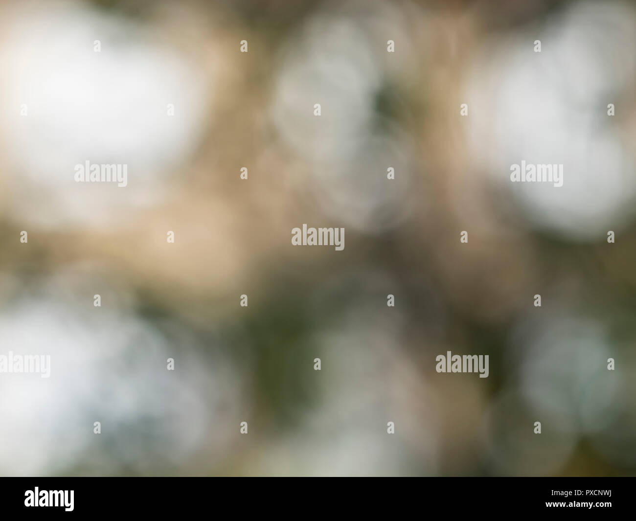 Abstract black nature blurred background with bright sunlight, flare ...