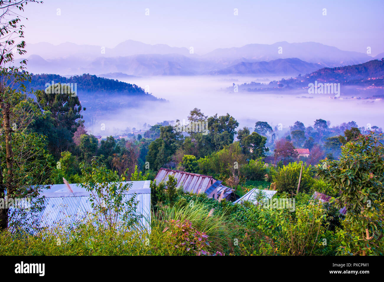 Village land covered by fog Stock Photo - Alamy