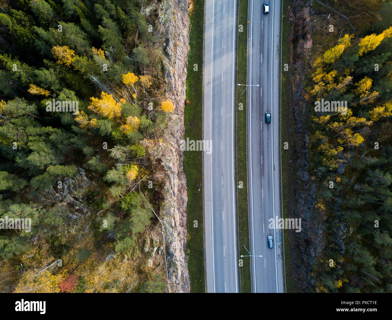 Forrest and highway in Finland Stock Photo - Alamy