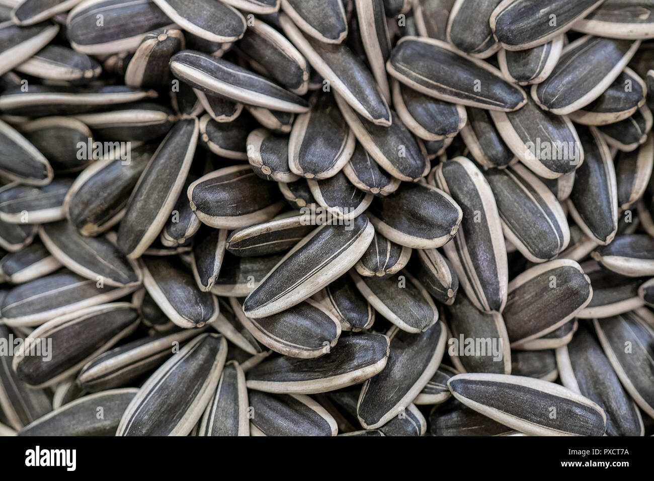 Gray sunflower seeds Stock Photo - Alamy