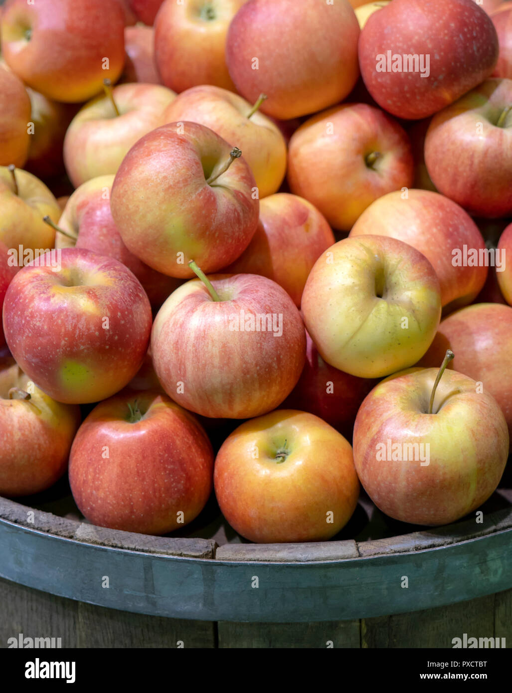 Red apple barrel hi-res stock photography and images - Alamy