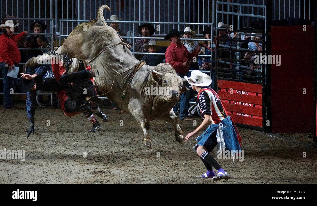 Rodeo fun for the whole family at the largest indoor agricultural fair ...
