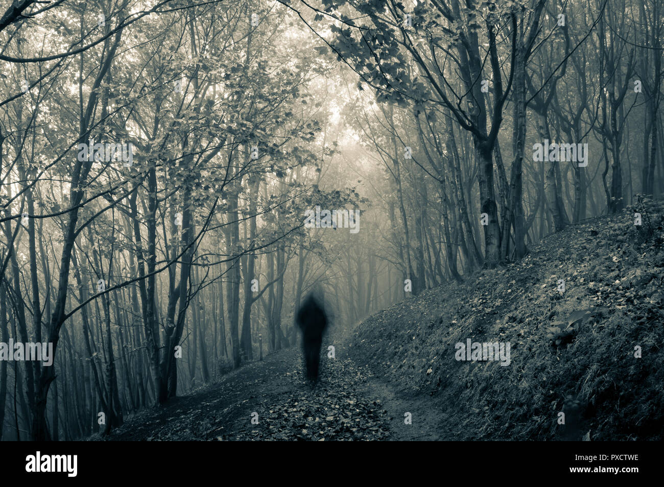 A spooky blurred hooded figure on a path in foggy winter woods, with a ...