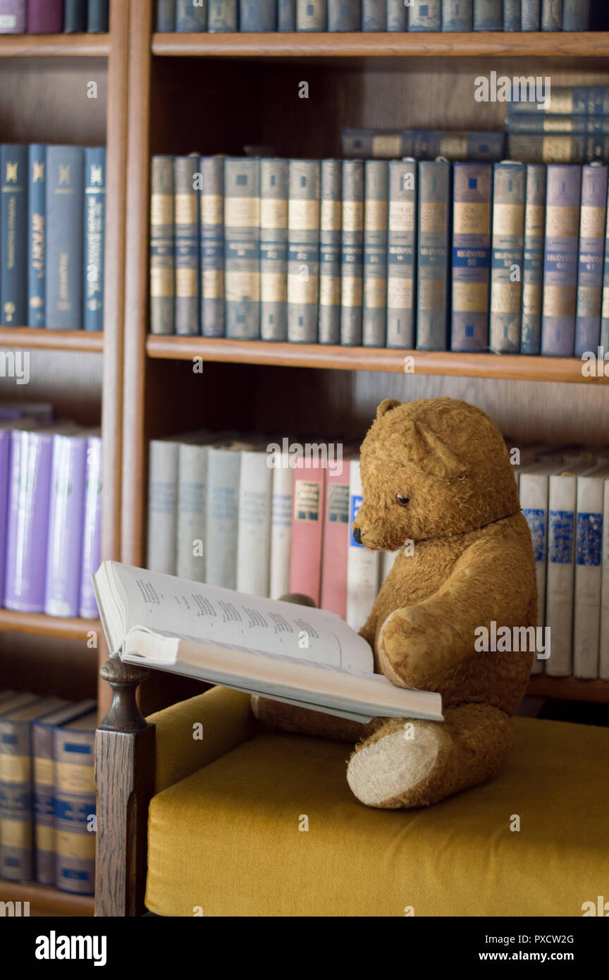 Antique teddy bear book hi-res stock photography and images - Alamy
