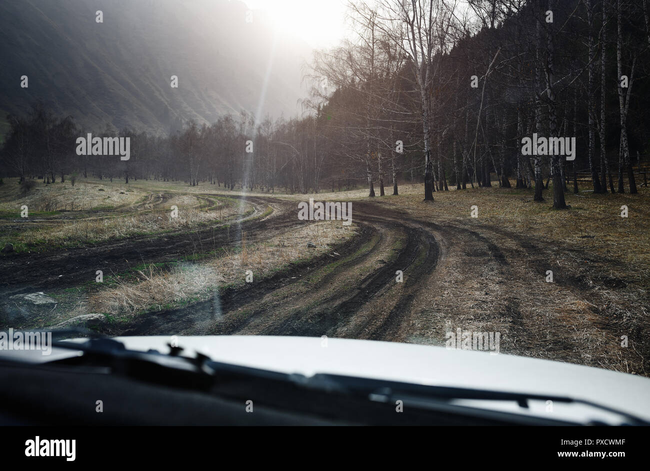 Road trip through the nature of Europe. Car point of view Stock Photo ...