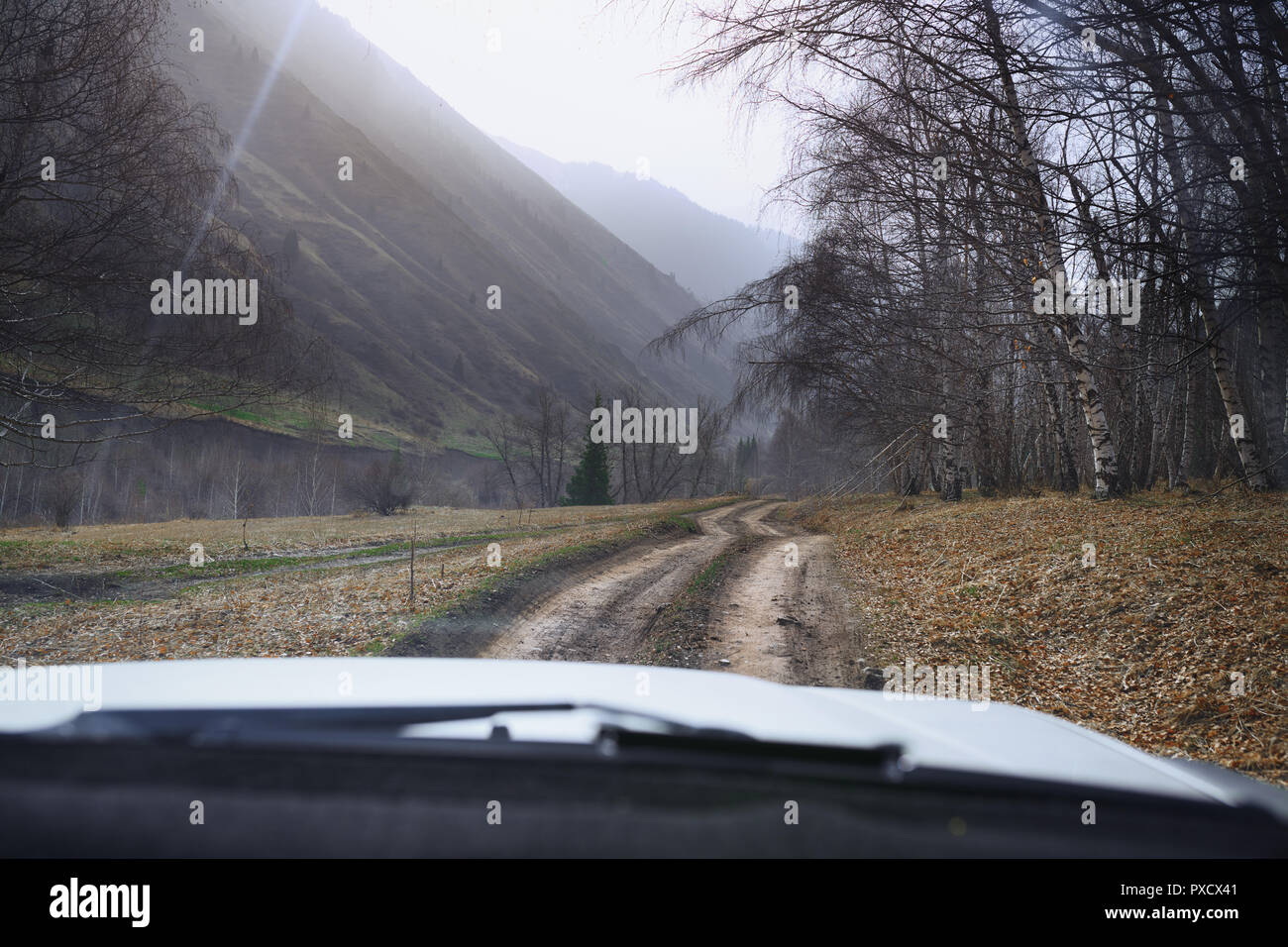 Road trip through the nature of Europe. Car point of view Stock Photo ...