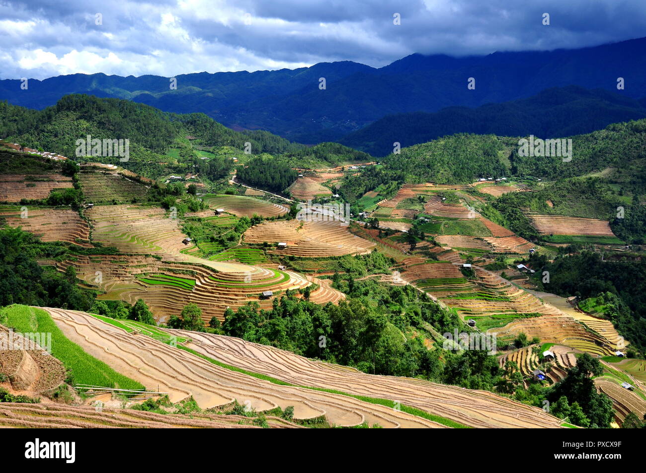 rice terraces Mu Cang Chai - the wonders of the farmers Stock Photo - Alamy