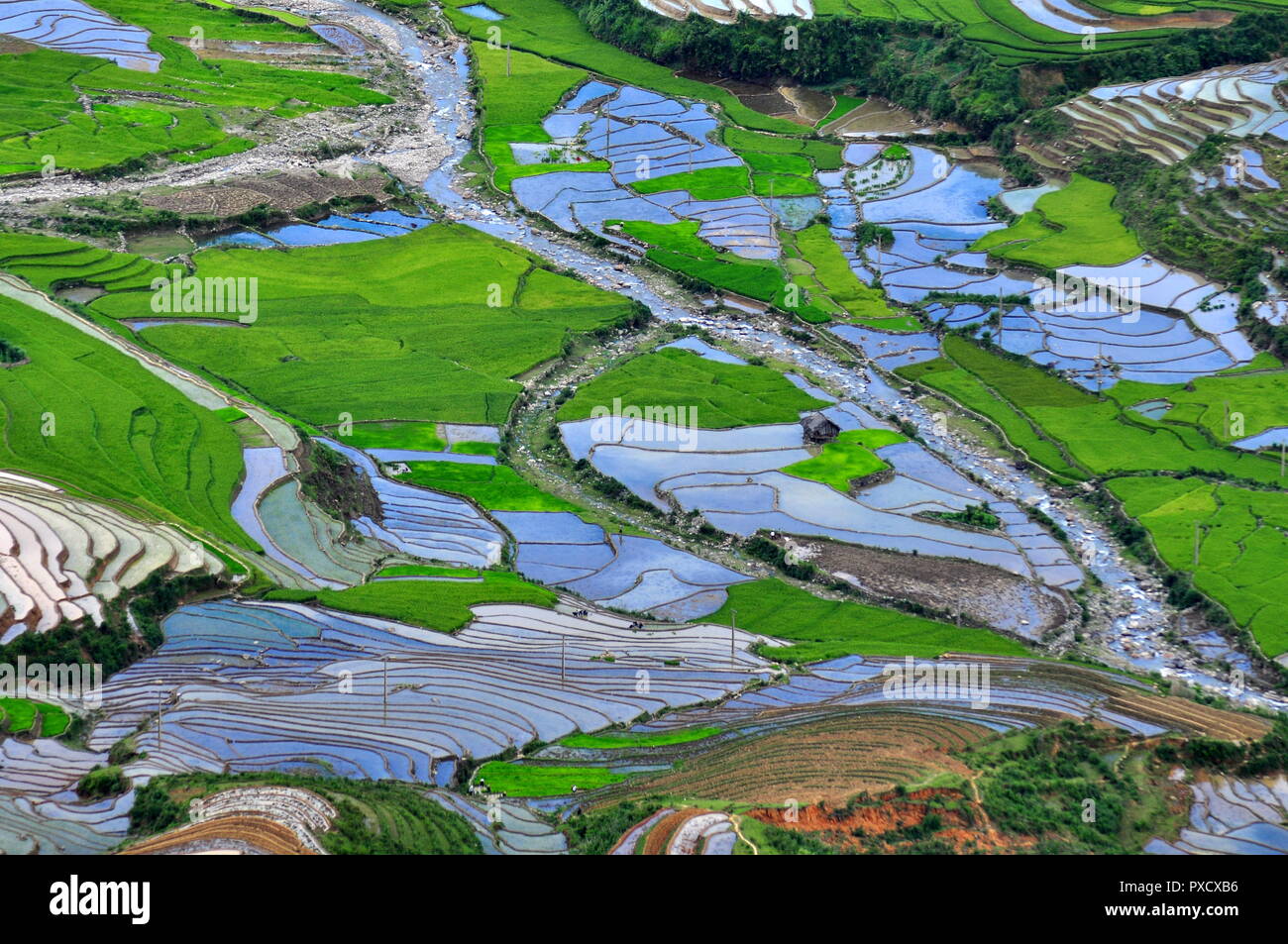 rice terraces Mu Cang Chai - the wonders of the farmers Stock Photo - Alamy