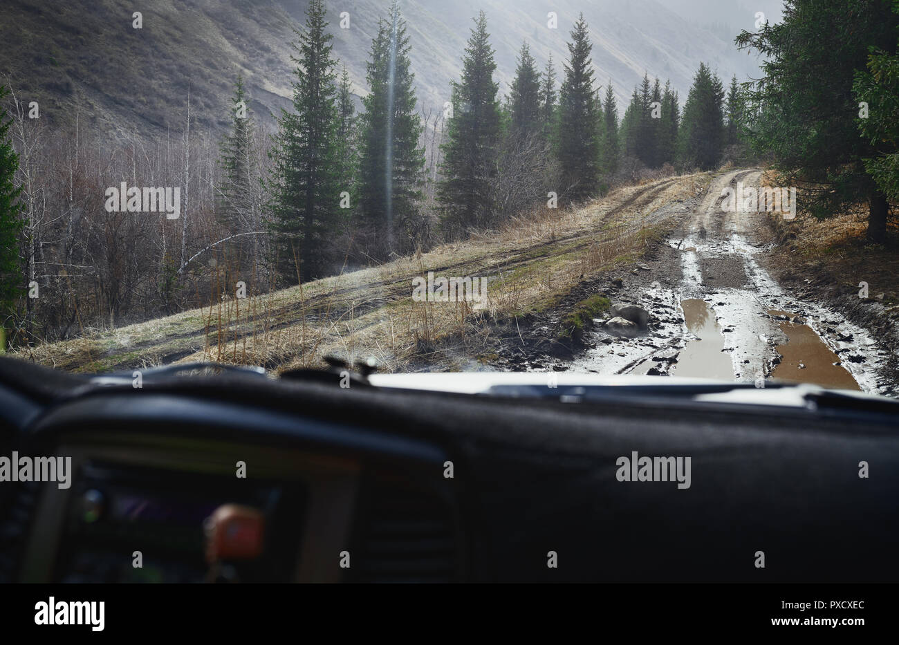 Road trip through the nature of Europe. Car point of view Stock Photo ...