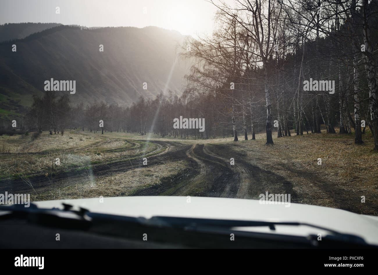 Road trip through the nature of Europe. Car point of view Stock Photo ...