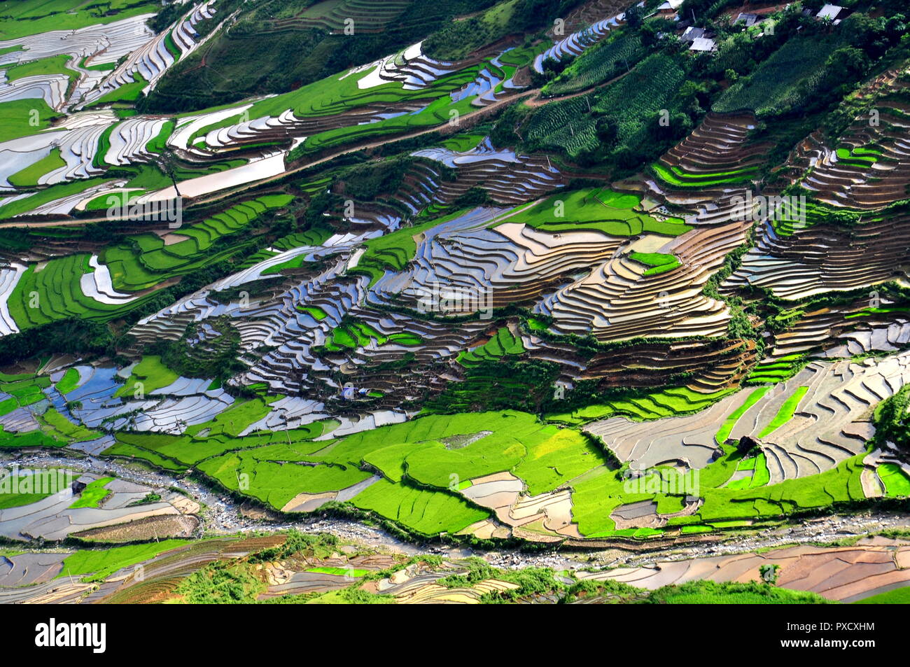 rice terraces Mu Cang Chai - the wonders of the farmers Stock Photo - Alamy