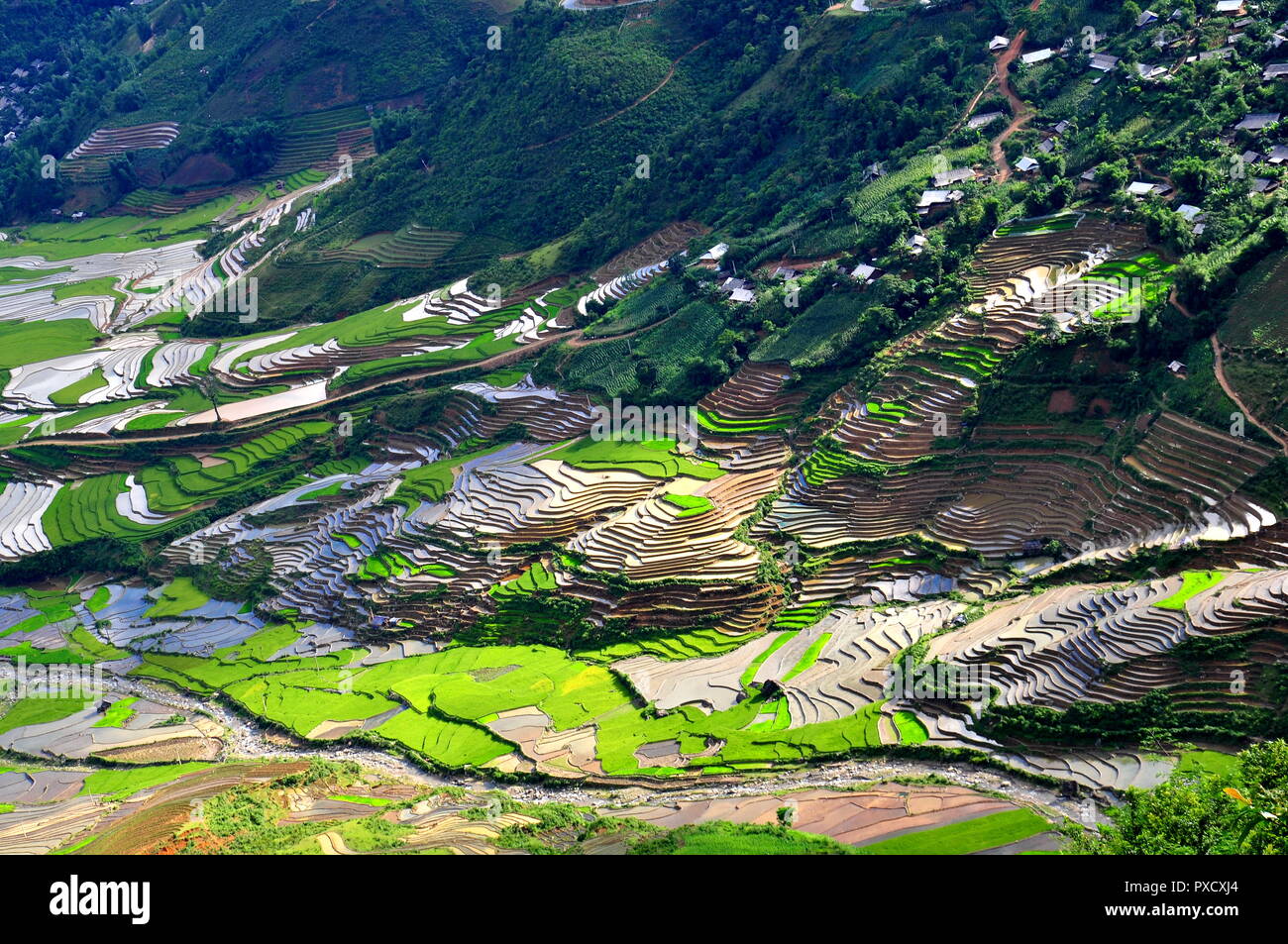 rice terraces Mu Cang Chai - the wonders of the farmers Stock Photo - Alamy