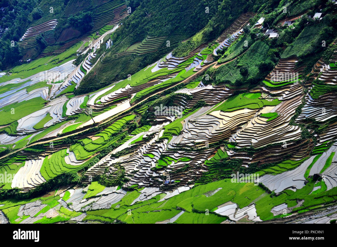rice terraces Mu Cang Chai - the wonders of the farmers Stock Photo - Alamy
