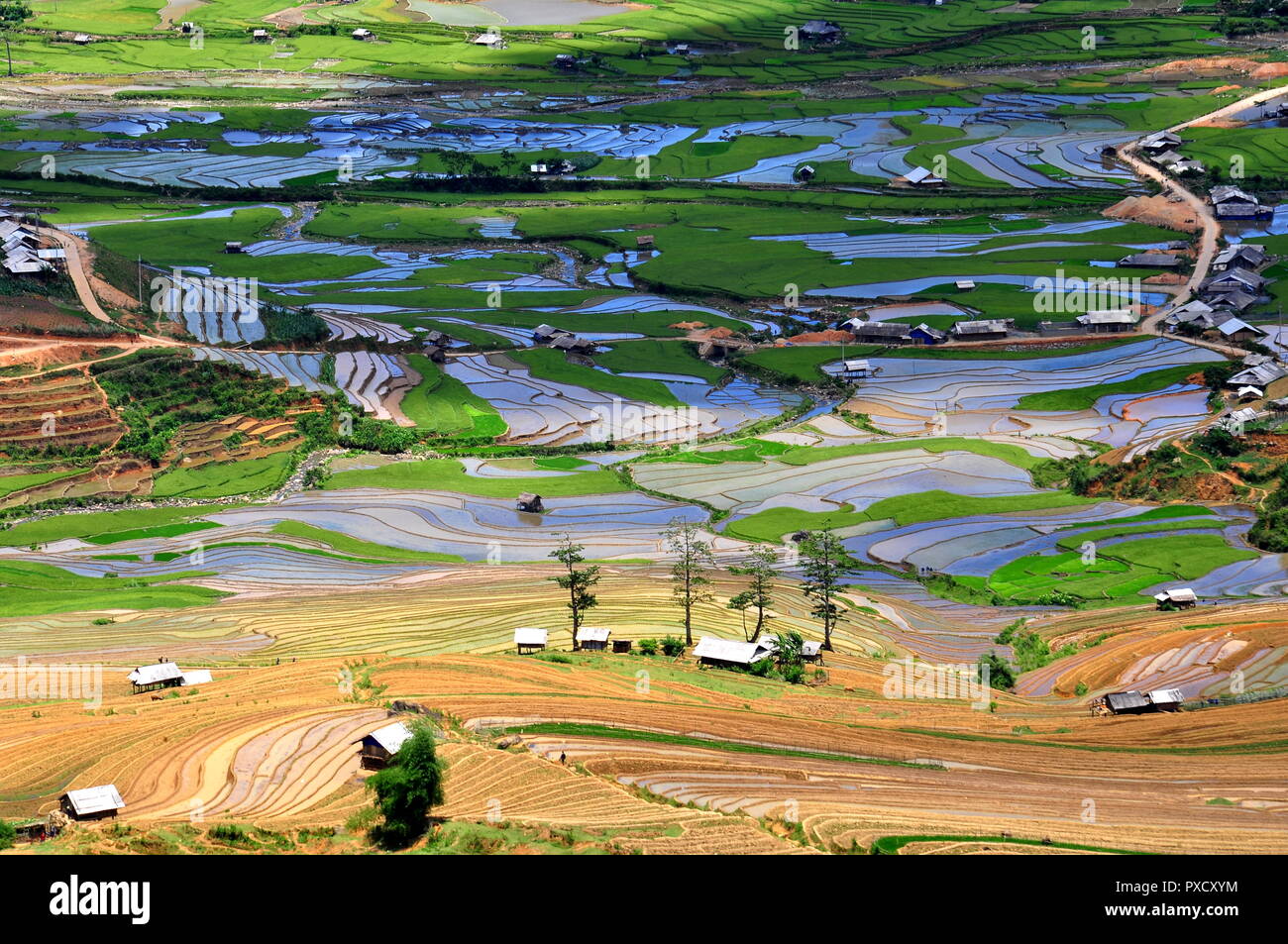 rice terraces Mu Cang Chai - the wonders of the farmers Stock Photo - Alamy