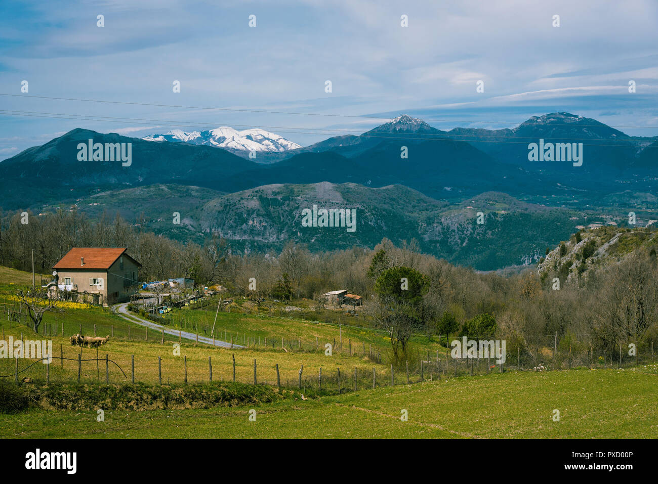 Farm in Calabria, Italy Stock Photo - Alamy
