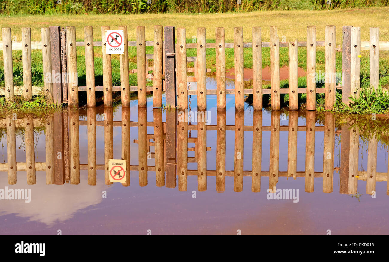 Fence reflections in a large puddle Stock Photo - Alamy