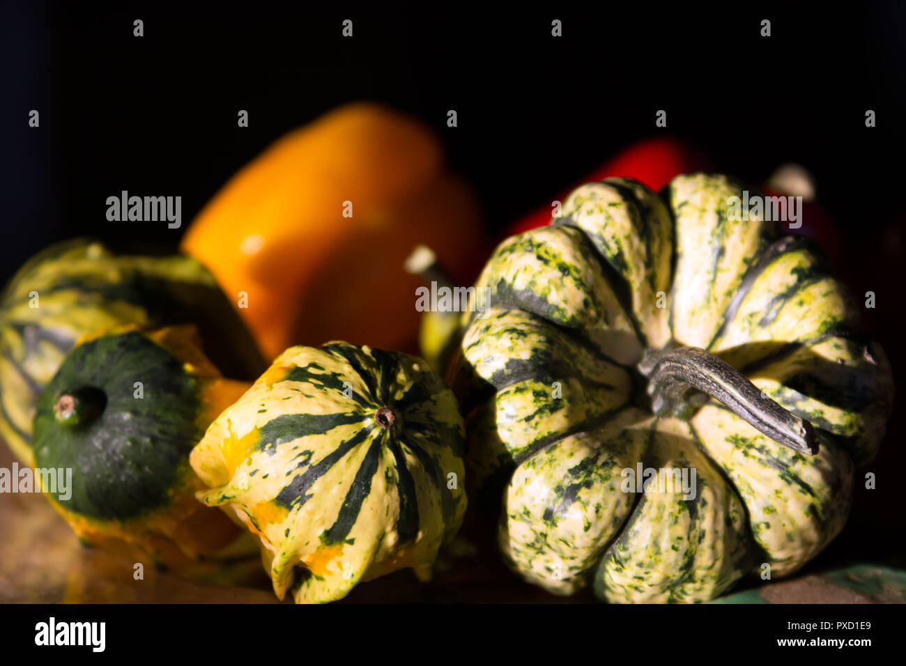 Ornamental gourd hi-res stock photography and images - Alamy