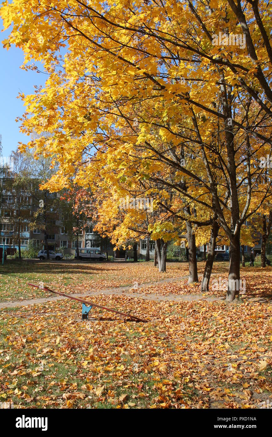 beautiful warm sunny autumn day in the city park Stock Photo - Alamy