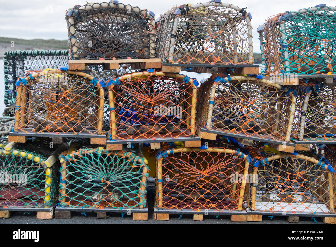 Catch trap hi-res stock photography and images - Alamy