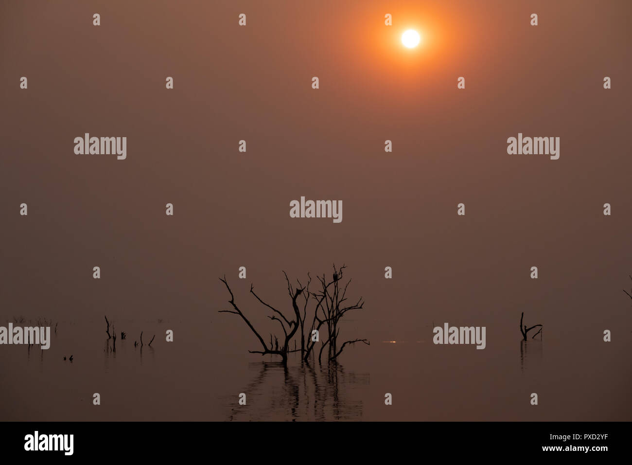 Sunset on Lake Kariba, Zimbabwe Stock Photo - Alamy