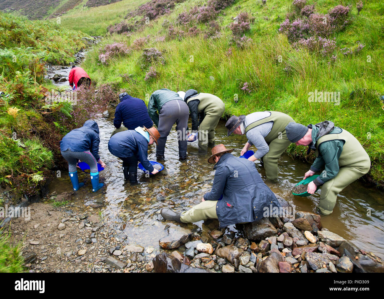 Gold panning wanlockhead hi-res stock photography and images - Alamy