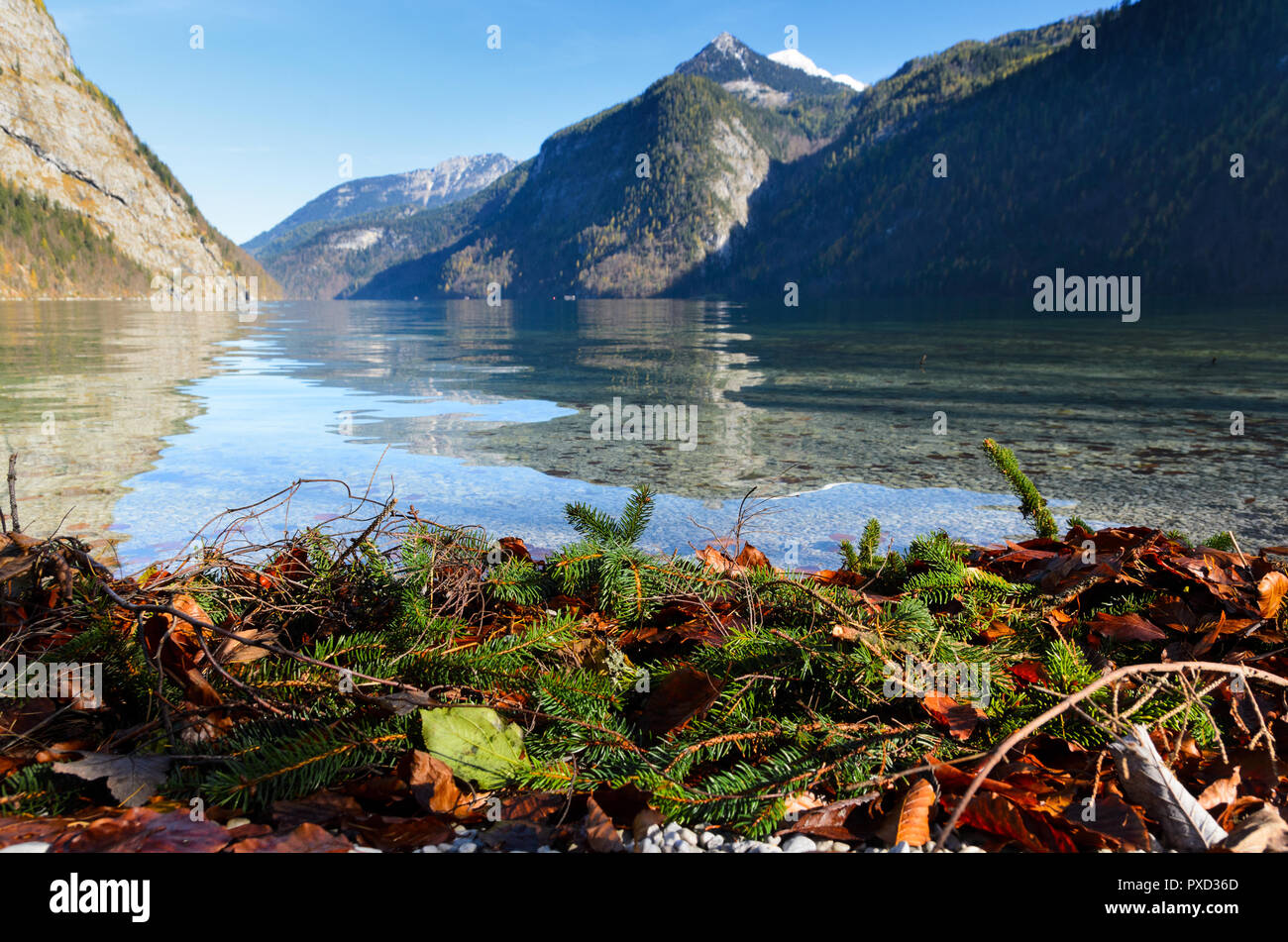 Konigsee boat view Stock Photo - Alamy