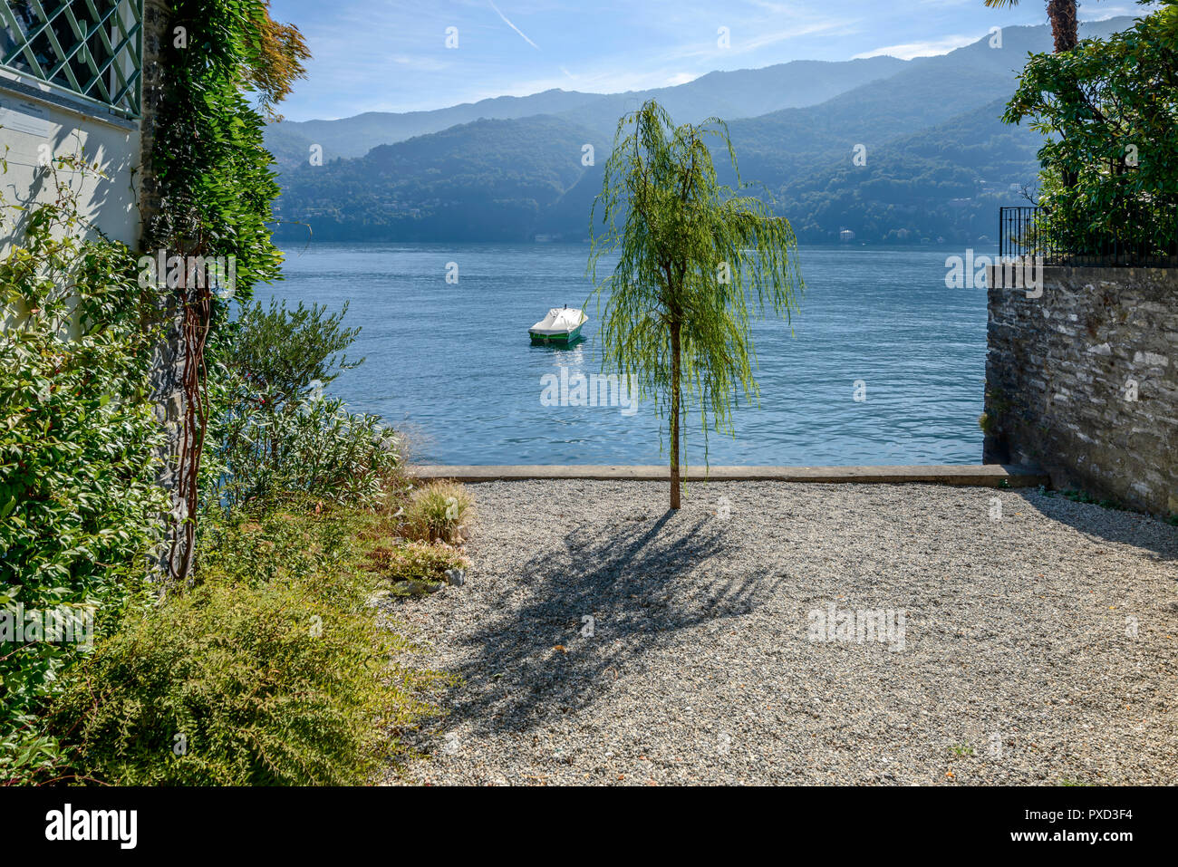 lake landscape with little willow tree on lakeside at historical ...