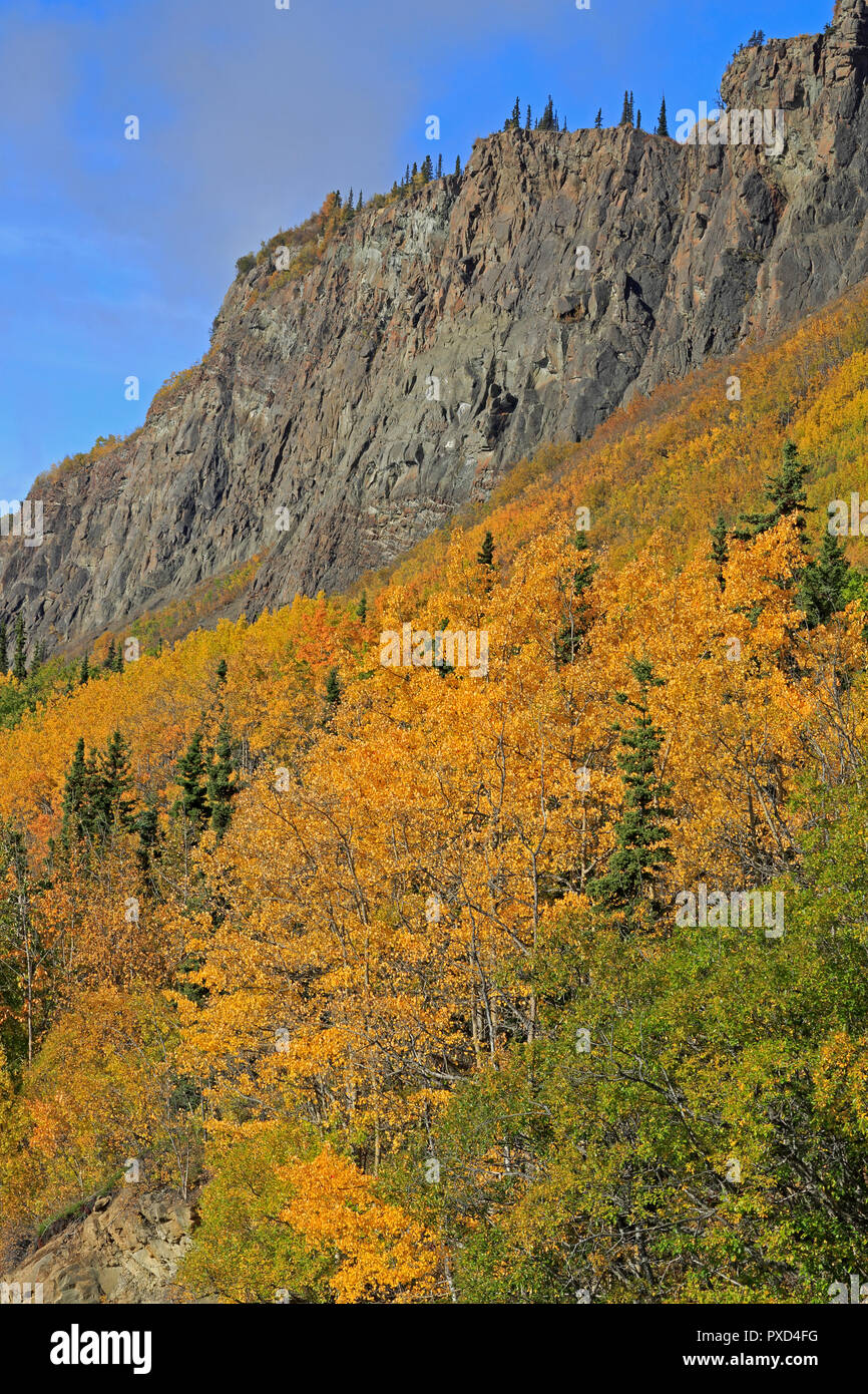 Alaska fall autumn colors hi-res stock photography and images - Alamy