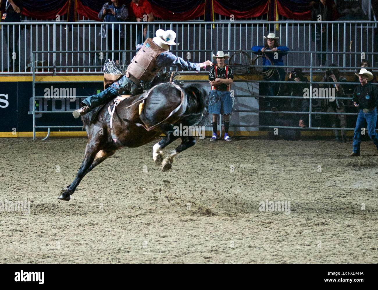 Rodeo fun for the whole family at the largest indoor agricultural fair ...