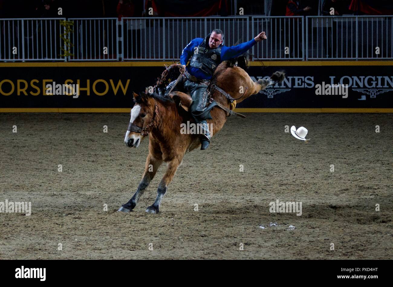 Rodeo fun for the whole family at the largest indoor agricultural fair ...