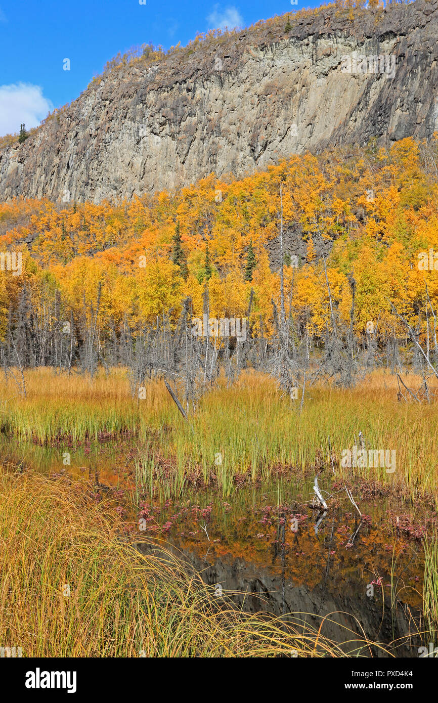 Alaska fall autumn colors hi-res stock photography and images - Alamy