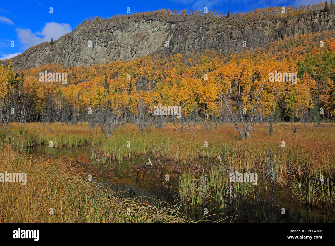Alaska fall autumn colors hi-res stock photography and images - Alamy