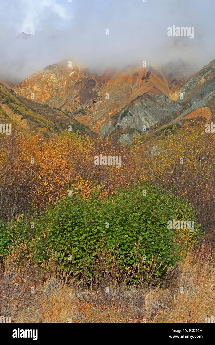 Sheep mountain hi-res stock photography and images - Alamy