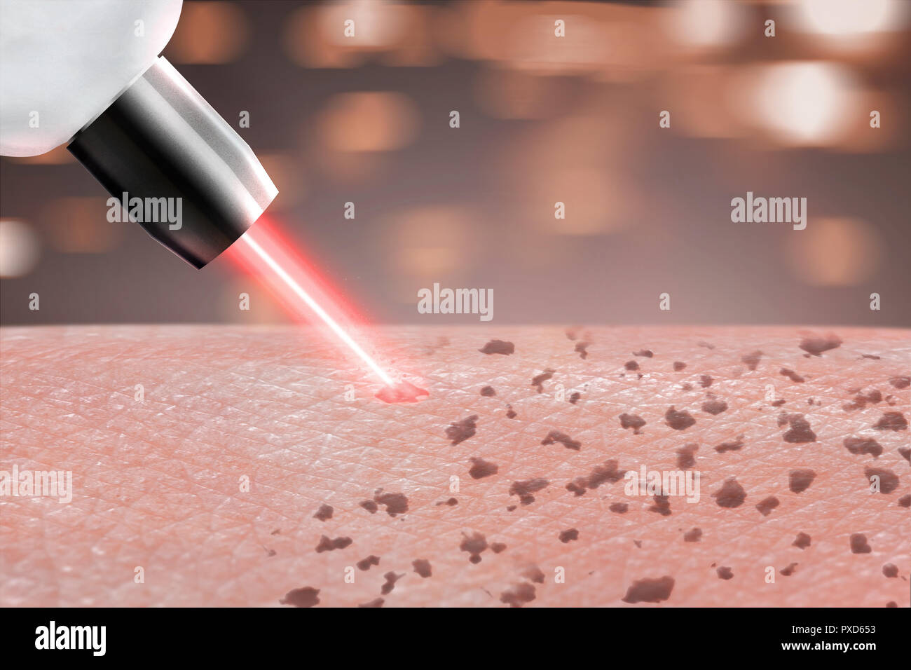 Close up female body parts hi-res stock photography and images - Alamy