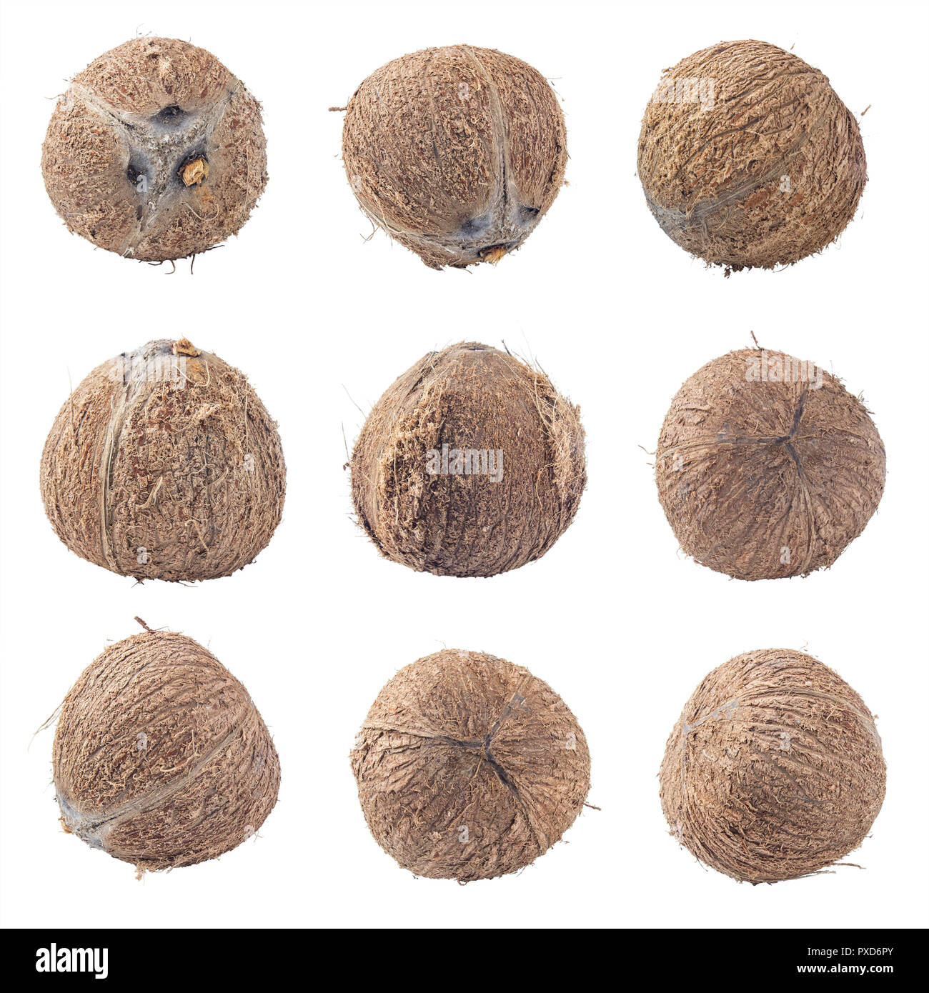 coconuts isolated on white background clipping path Stock Photo - Alamy