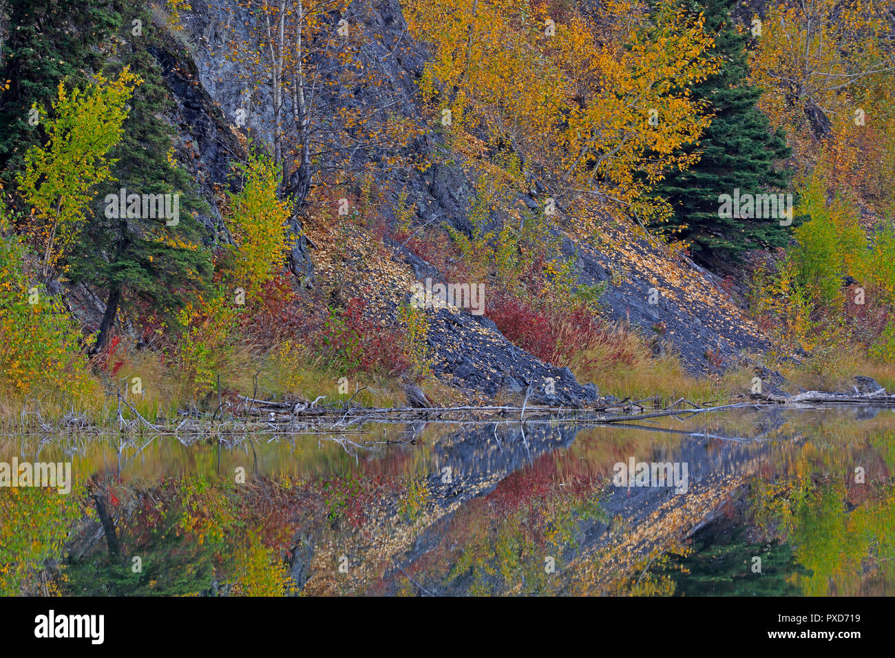 Fall alaska hi-res stock photography and images - Alamy