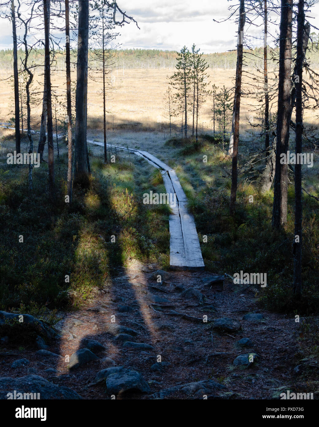 Swamp thing hi-res stock photography and images - Alamy