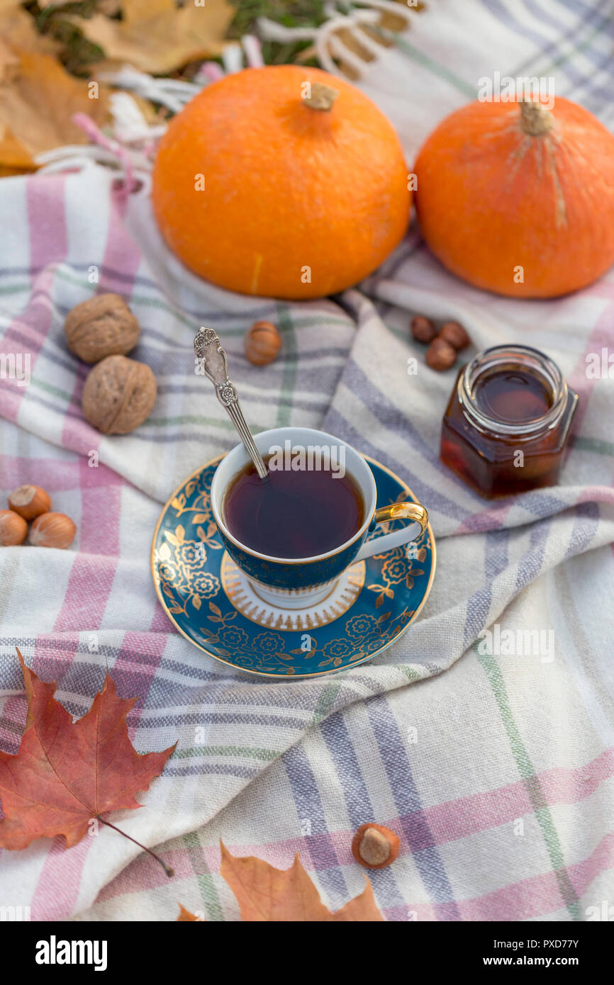 Outdoor picnic with tea, hazelnuts, walnuts, pumpkins and jam in jar ...