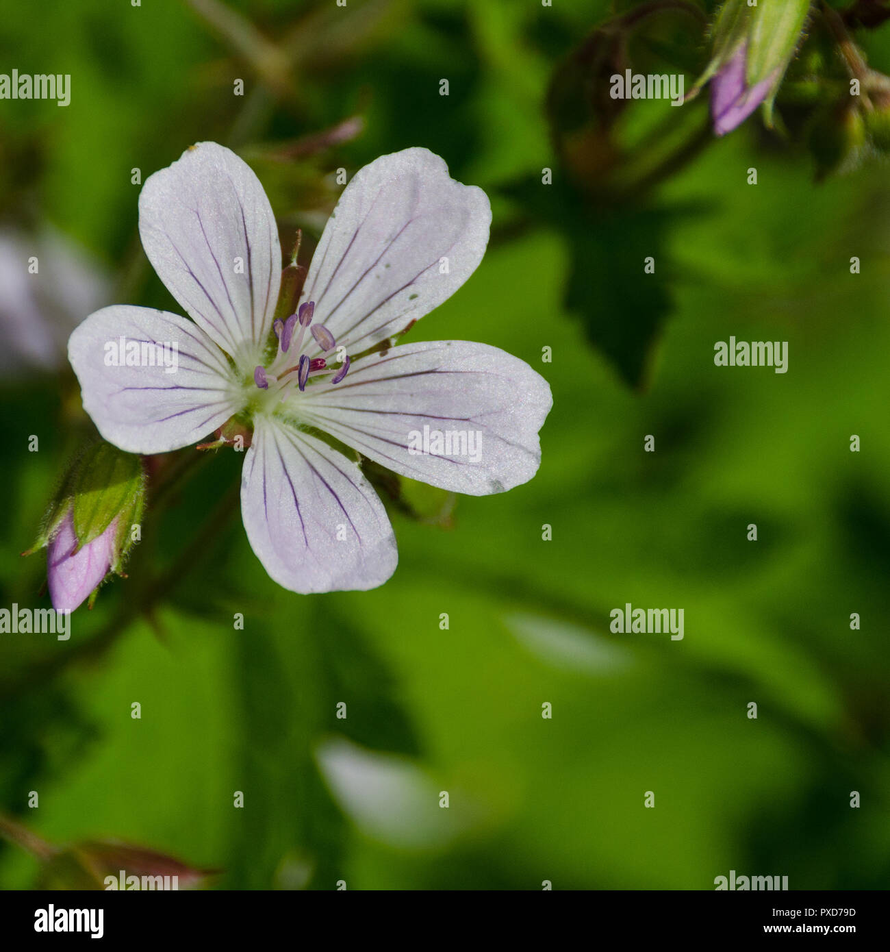 Front facing hi-res stock photography and images - Alamy