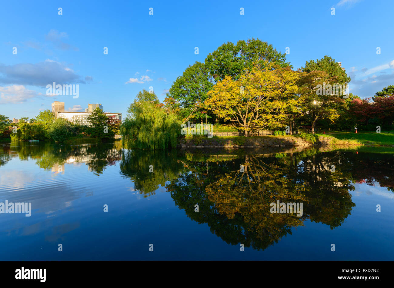 Nakajima park autumn hi-res stock photography and images - Alamy