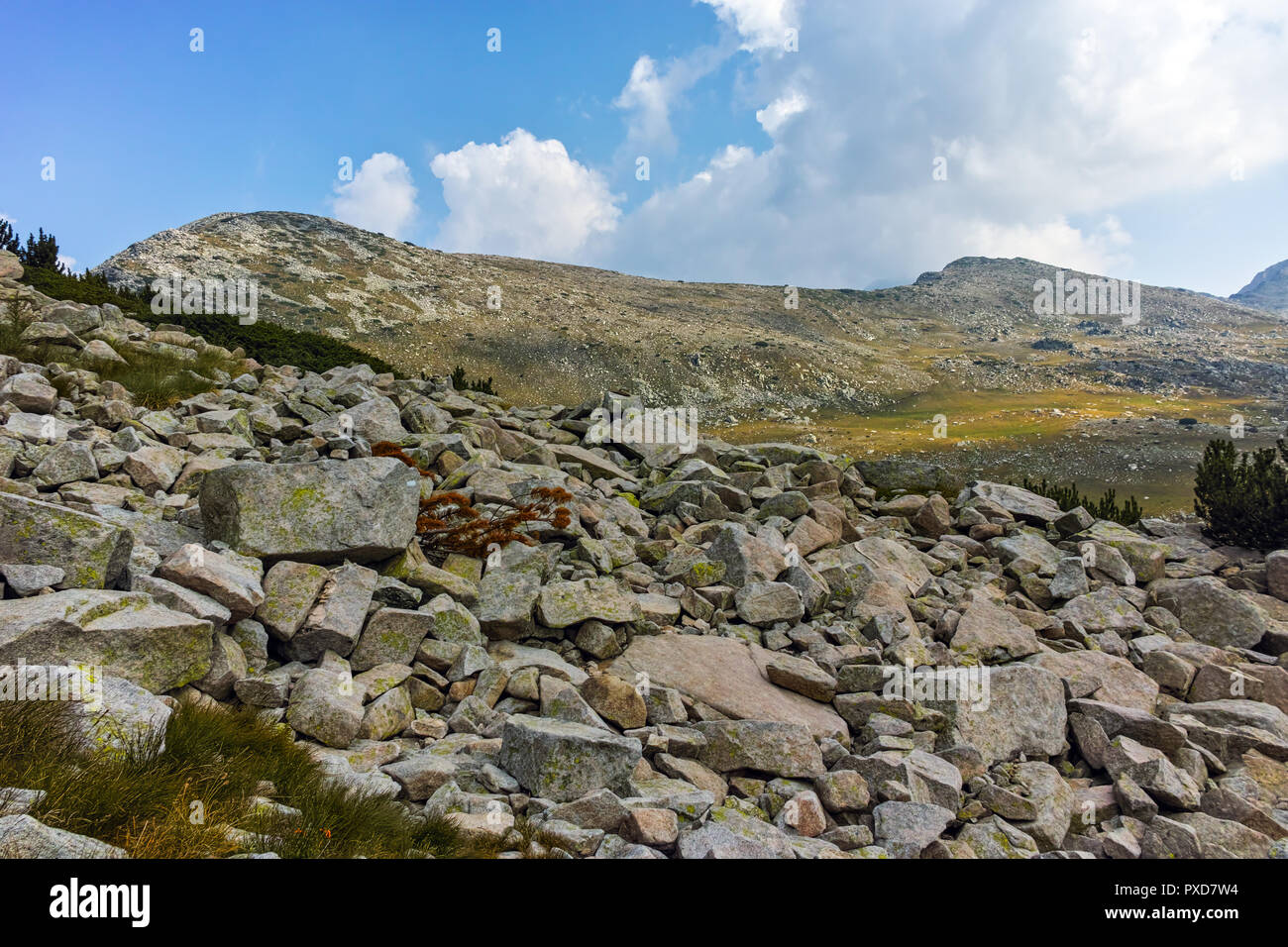 Amazing landscape of Spano pole, Pirin Mountain, Bulgaria Stock Photo ...