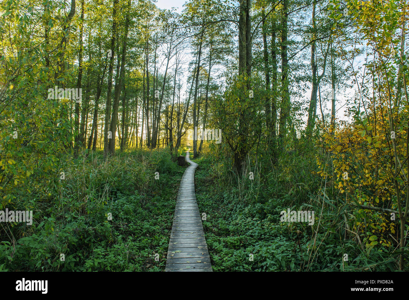 Pathname hi-res stock photography and images - Alamy